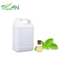 China Eco-friendly Mint Fragrances Oil Light Peppermint Scent Essence Oils for sale