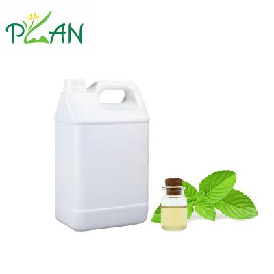 China Eco-friendly Mint Fragrances Oil Light Peppermint Scent Essence Oils for sale