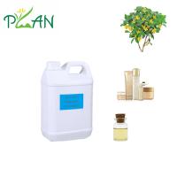 China Natural Osmanthus Fragrance Essence Oil For Daily Use And Industrial Applications for sale