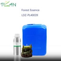 China Forest Fragrance Oil for Scented Candle Making - Woody & Earthy for sale