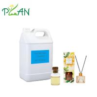 China 100ml Concentrated Fruit Mint Fragrance Oil for Diffusers & Reed Sticks for sale
