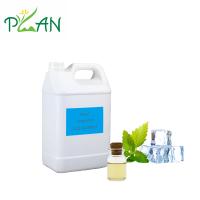 China Food Grade High Concentration Cool Mint Flavor Oil with TRPM8 Activation and Peppermint Oil for Long-lasting Freshness for sale