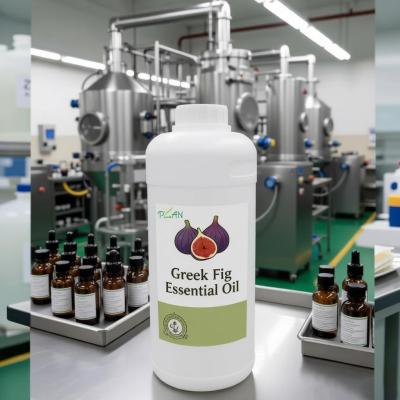 China Pure Fragrance Oils Greek Fig Essence For Daily Using Perfume Making /Productions With Free Sample for sale