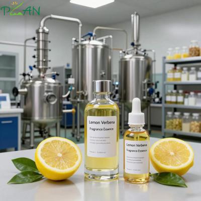 China Body Wash Fragrances  Lemon Verbena Fragrance Essence  Oil For Shampoo and Shower Gel & Scented Soap Making- IFRA for sale