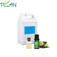 China Diffuser Fragrance With Free Sample Rosemary & Eucalyptus Fragrance Oil For Reed Stick &Cold Scented Candle& Diffuser Fragrance Making/Production for sale