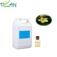 China Free Sample Diffuser  Fragrance Essence Frangipani Fragrance Oil For Reed Stick &Cold Scented Candle& Diffuser Fragrance Making/Production  for sale