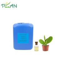 China Cactus Scent Fragrance Oil For Shampoo &Scented Soap Making /Productions with High-Surfactant Stability for sale