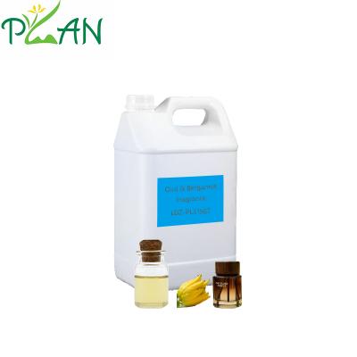 China Home Diffuser Fragrance Oud & Bergamot Flavoring Essence Oil For Reed Stick &Cold Scented Candle& Diffuser Fragrance Making/Production With Free Sample for sale