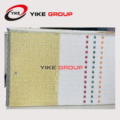 China YIKE GROUP Kevlar Edge Corrugated Belt For BHS TCY FOSBER CHAMPION Line for sale