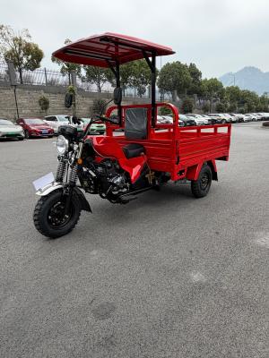 China Gasoline Q1 Cargo Tricycle Three Wheeler Top Ceiling 200cc Air Cooled Engine With Inner Floating Small Booster Rear Axle And 1000kg Load Capacity ‌For Heavy Duty Transport for sale