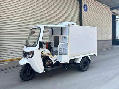 China Gasoline Refrigerator Tricycle Three Wheeler 300cc Water Cooled Engine With DC Refrigeration Powered By 48V58Ah Battery And Full Floating Rear Axle For Street Vendors‌ Q3 Upgraded for sale