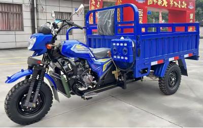 China Gasoline Q2 Normal Cargo Tricycle Three Wheeler 200cc Water Cooled Engine With Inner Floating Big Booster Mechanic Brake Rear Axle And 1200kg Load Capacity For Heavy Duty Transport for sale