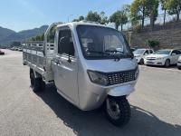 China Gasoline T7 Cargo Tricycle Three Wheeler Full Enclosure Cabin 1000cc Water Cooled With Full-Floating High Low Gear Big Booster Oil Brake Rear Axle And 3000kg Load Capacity For Heavy Duty Transport for sale