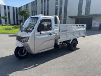 China Gasoline T7 Cargo Tricycle Three Wheeler Full Enclosure Cabin 1000cc Water Cooled With Full-Floating High Low Gear Big Booster Oil Brake Rear Axle And 3000kg Load Capacity For Heavy Duty Transport for sale