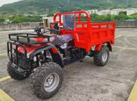China Gasoline ATV Cargo Tricycle Three Wheeler 4*4 Drive 300cc Water Cooled Engine With Big Booster For All Terrain Transport Purpose for sale