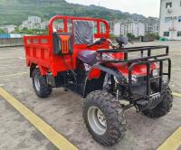 China Gasoline ATV Cargo Tricycle Three Wheeler 4*4 Drive 300cc Water Cooled Engine With Big Booster For All Terrain Transport Purpose for sale