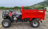 China Gasoline ATV Cargo Tricycle Three Wheeler 4*4 Drive 300cc Water Cooled Engine With Big Booster For All Terrain Transport Purpose for sale