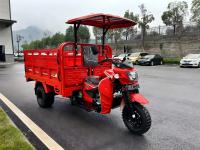 China Gasoline 200cc Water-Cooled Cargo Tricycle, L9 Model, 2.2m Heavy-Duty Cargo Box, Full-Floating Booster Rear Axle, 800kg Load Capacity for sale