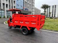 China Gasoline 200cc Water-Cooled Cargo Tricycle, L9 Model, 2.2m Heavy-Duty Cargo Box, Full-Floating Booster Rear Axle, 800kg Load Capacity for sale
