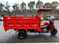 China Gasoline 200cc Water-Cooled Cargo Tricycle, L9 Model, 2.2m Heavy-Duty Cargo Box, Full-Floating Booster Rear Axle, 800kg Load Capacity for sale