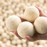 China Hot Blast Stove High Alumina Refractory Balls Multi-material  Heat Storage Balls for sale