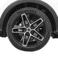 China ROEWE ERX5 New Energy Vehicles Green Power Compact 5-Door 5-Seater SUV for sale