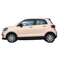 China LEAPMOTOR Lingpao T03 Electric Mini Car 5 Door 4 Seater Pure Electric for sale