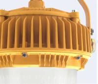 China 40W Portable Explosion Proof LED Light Luminaire 5 Years Warranty AW-EPHB613 for sale