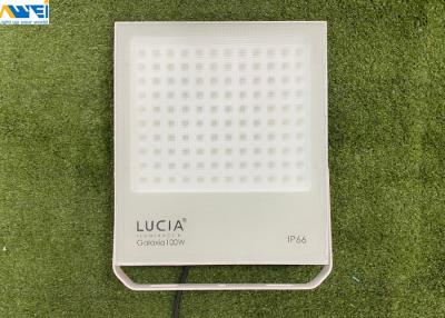 China High Efficiency Led Floodlight 50w100w 150w 200w for sale