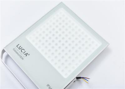 China White 100w 130lm / W 120 Volt Led Outdoor Flood Lights for sale