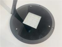 China Landscape Lighting 60W Led Garden Light With Die-casting Aluminum Housing Used In Streets And Lanes for sale