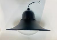 China 30W-80W Led Pendant Light WIth Aluminum Housing Waterproof IP66 Led Garden Light Used For Courtyard for sale