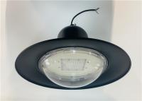 China 30W-80W Led Pendant Light WIth Aluminum Housing Waterproof IP66 Led Garden Light Used For Courtyard for sale