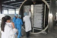 China CE Certificated Vacuum Drying Machine , Vacuum Virtis Freeze Dryer / Lypholizer for sale