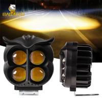 China 4 Beads Owl Shape Black Plastic White Yellow Available Fog Light for sale