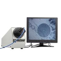 China 20X Fiber Optic Inspection Microscope , Optical Fiber Microscope With Video Display for sale