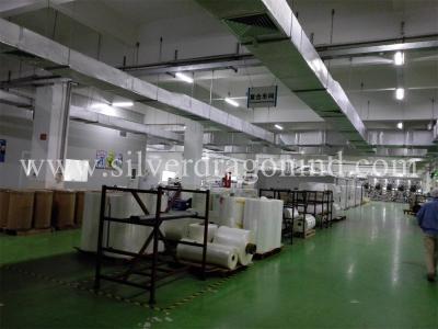 China Clear NY/PE embossed vacuum pouches 6