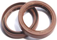 China Garlock Spring Rubber Oil Seal Ideal for Engineering Machinery Applications Supporting Paypal Payment Terms and Durable for sale