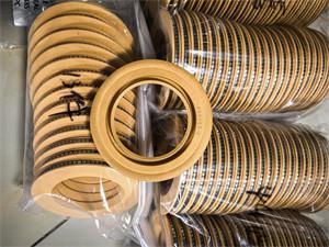 China Polyimid Lip Seal PTFE Lip Seal Spring Energized Seal for Rubber Oil Seal of Centrifuge Pump with High-Efficiency for sale