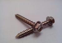 China Carbon Steel Fixings And Fasteners / Stainless Steel Self Drilling Screw for sale