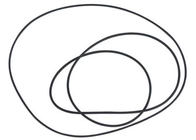 China Round Large Size Rubber O Rings Mechanical Gasket Weathering Resistance for sale