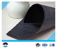 China 448g Polypropylene Woven Geotextile Fabric 92kN 68kN for Soil Stabilization for sale