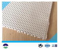 China High Strength White Woven Multifilament Geotextile 460gsm with 200kN/m Tensile Strength for Civil Engineering for sale