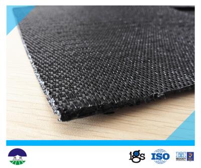 China PP Woven Monofilament Geotextile 200kN/m for Harbor Protection Filtration for sale