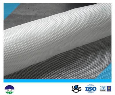 China PET/PP White Multifilament Woven Geotextile 180kN/m Tensile Strength 600g/m² for Soil Stabilization for sale