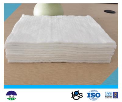 China FNG800 High Permeability Non-Woven Geotextile Fabric 800 g/m² with 40 KN/m Tensile Strength for Drainage and Filtration for sale