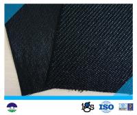 China Monofilament Woven Geotextile MWG® with High Filtration for Shoreline Protection and Soil Stabilization for sale