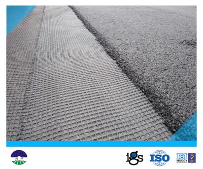China Warp Knitting Polyester Geogrid 80kN/m with 25.4mm Grid for Road Reinforcement and Soil Stabilization for sale
