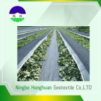 China Black Anti-Weed 100gsm Split Film Woven Geotextile Fabric - 3' to 9' Width, 2-3 Year Lifespan for sale