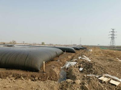 China GT500 PP Geotextile Tubes - High Strength Dehydrated Material for Marine & Coastal Structures for sale